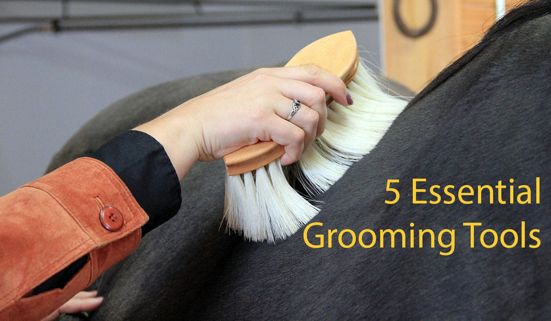 The 5 Essential Horse Grooming Tools Every Rider Should Own – HorseHaus ...