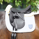 Passier Dressage and Jumping Saddles – HorseHaus - Fine Equestrian Supplies
