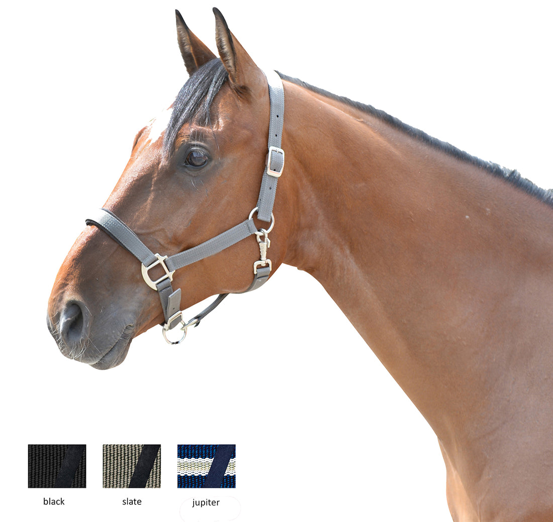 Padded Horse Halter "Signature" - Adjustable Halter – HorseHaus - Fine ...